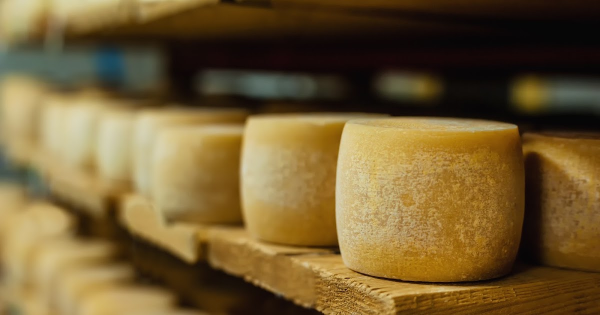 The Cheesy Times: Can Anyone Make A Cheese Cave?