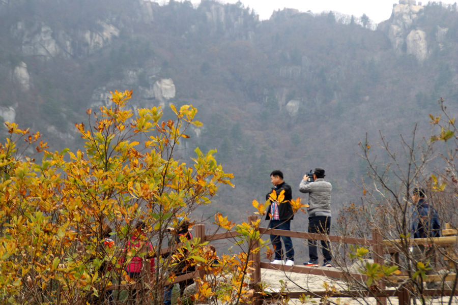 Fun & Free Daegu Travel: Fall Mountain View Of Korea - Foliage ...