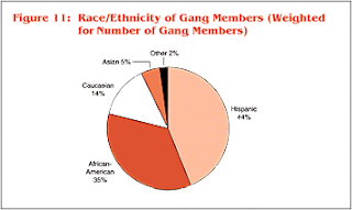 The Effects of Social and Cultural Capital on the Formation of Gangs
