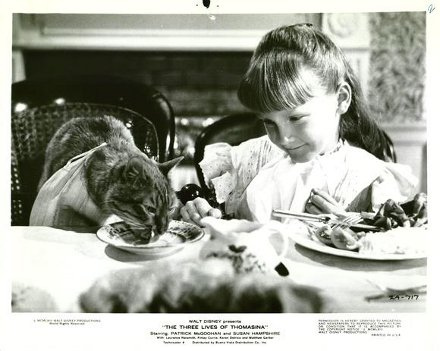 Walt Disney movie "THOMASINA" - Stormfront