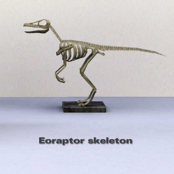 Simming in Magnificent Style: Eoraptor skeleton