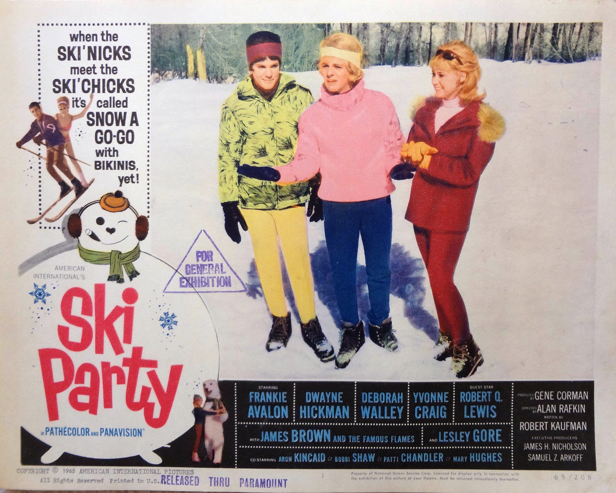Happyotter: SKI PARTY (1965)