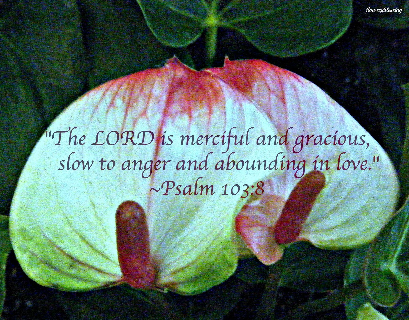 Flowery Blessing: "The LORD is merciful and gracious, slow to anger and ...