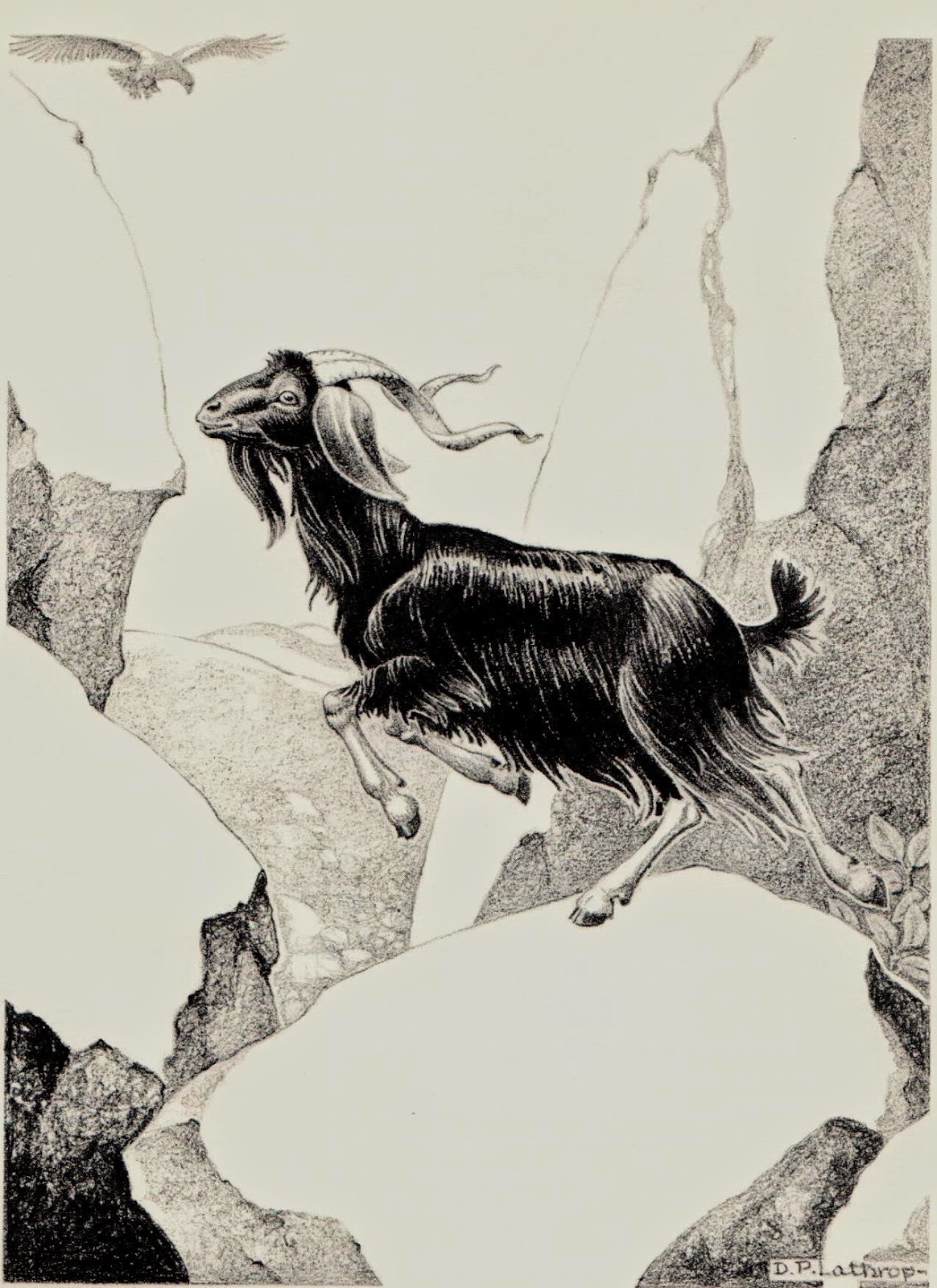 Catching Up With Caldecott: 1938 - Animals of the Bible, A Picture Book