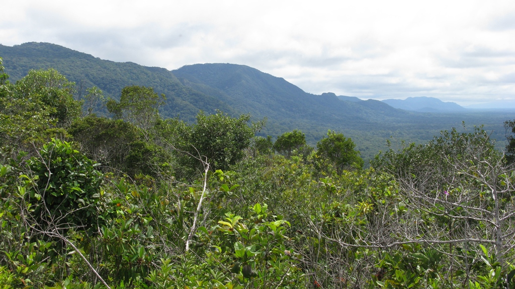O El Dorado é aqui: Tunuí, São Gabriel da Cachoeira