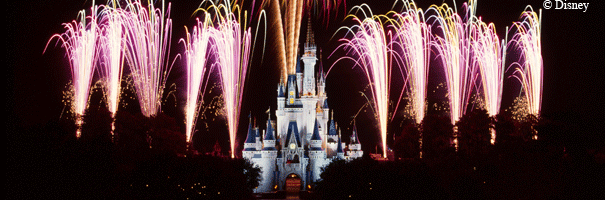 PACOTES PARA DISNEY 2013 CVC VIAGENS ~ Dicas Grátis 2022