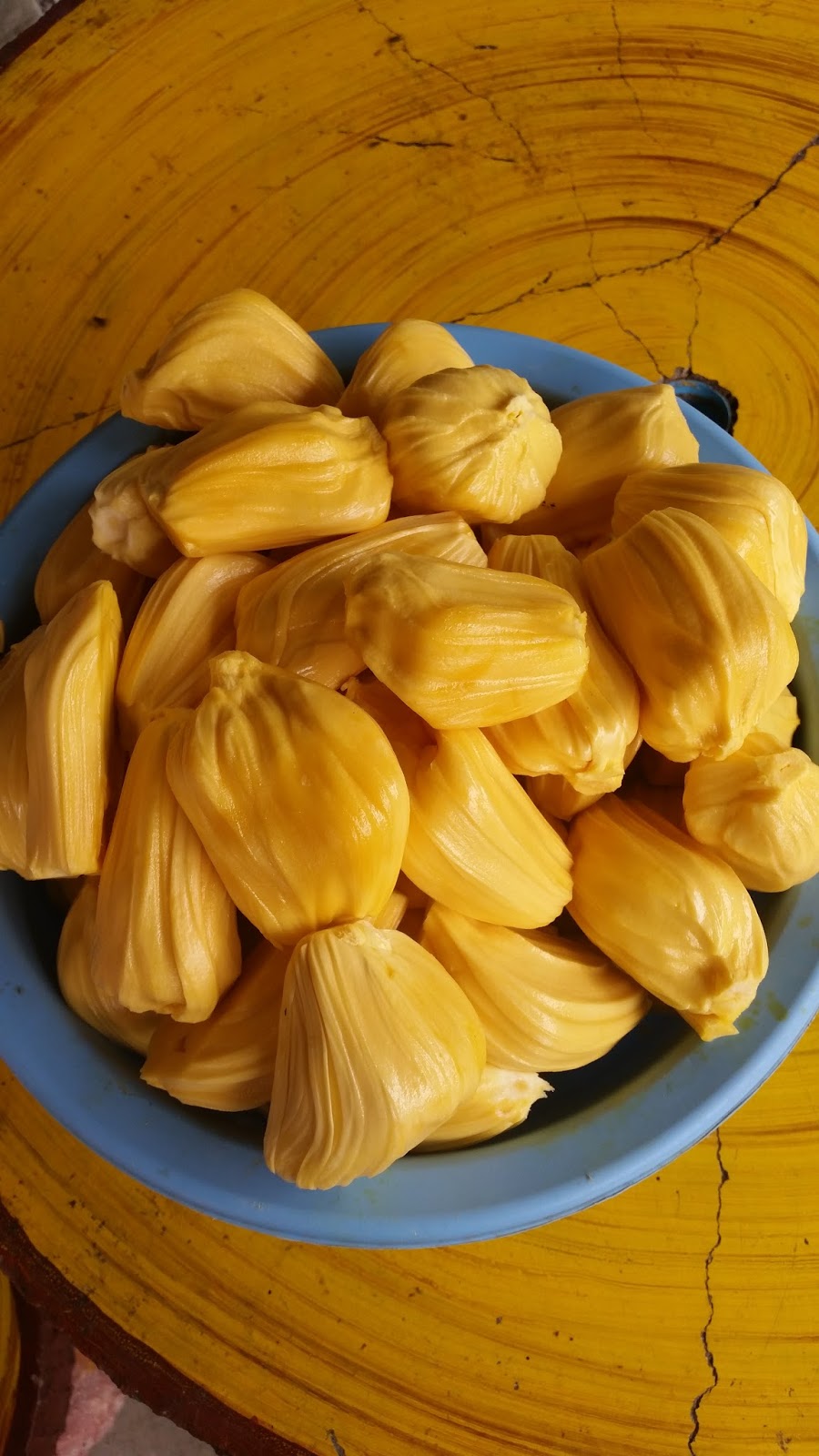 Warisan Petani: Tanaman Nangka 3