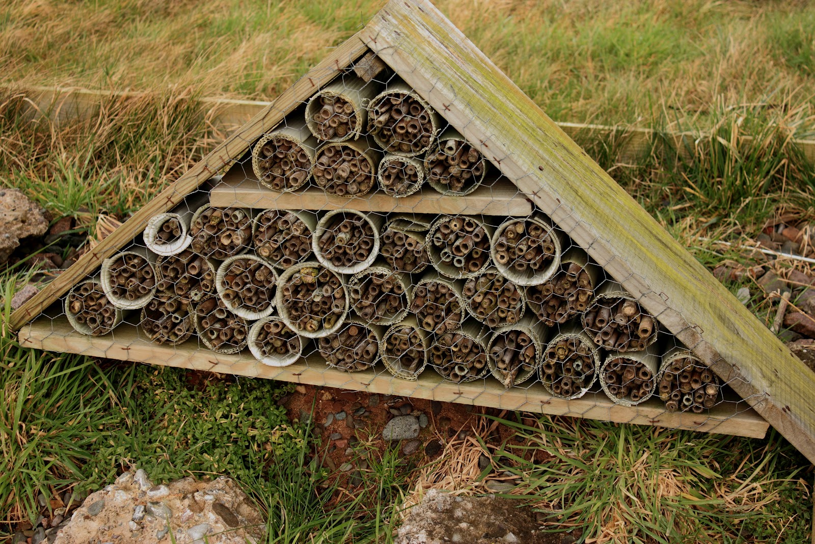 amandauniquely: February 2012