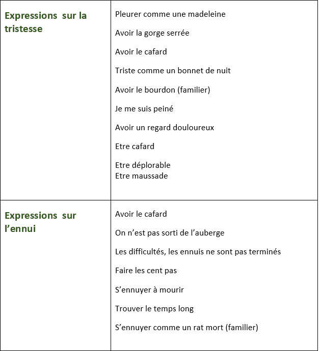 Apprenons le français : Liste d'expressions pour exprimer la joie, la ...
