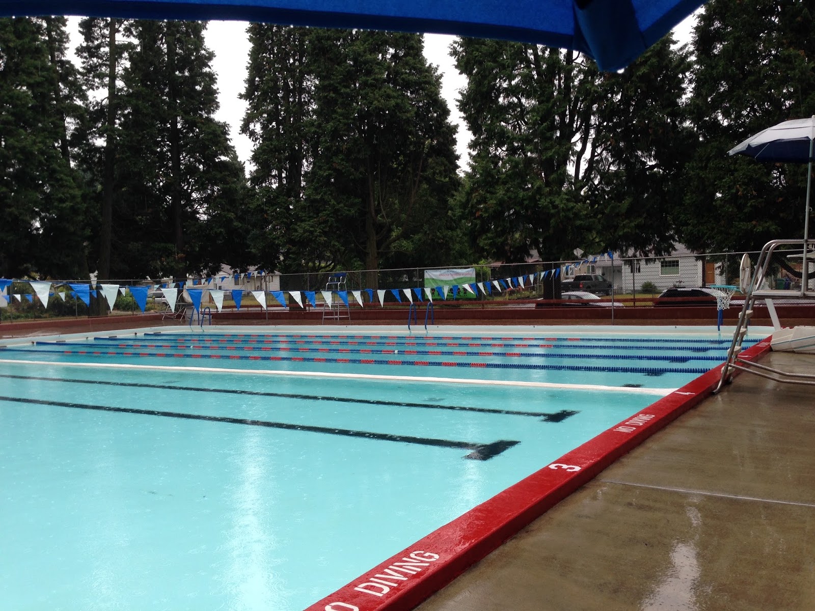 Year of Alison: Outdoor Pools of 2016