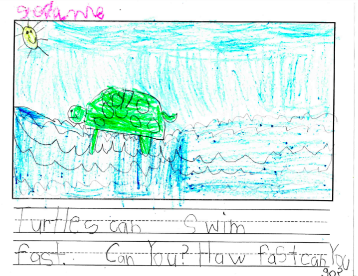 Mrs. Ricca's Kindergarten: Nonfiction Writing {Turtles}