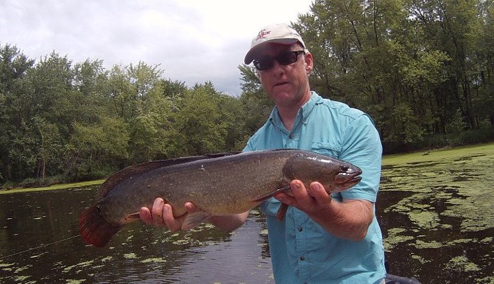 Minnesota Bowfin Club: 2013