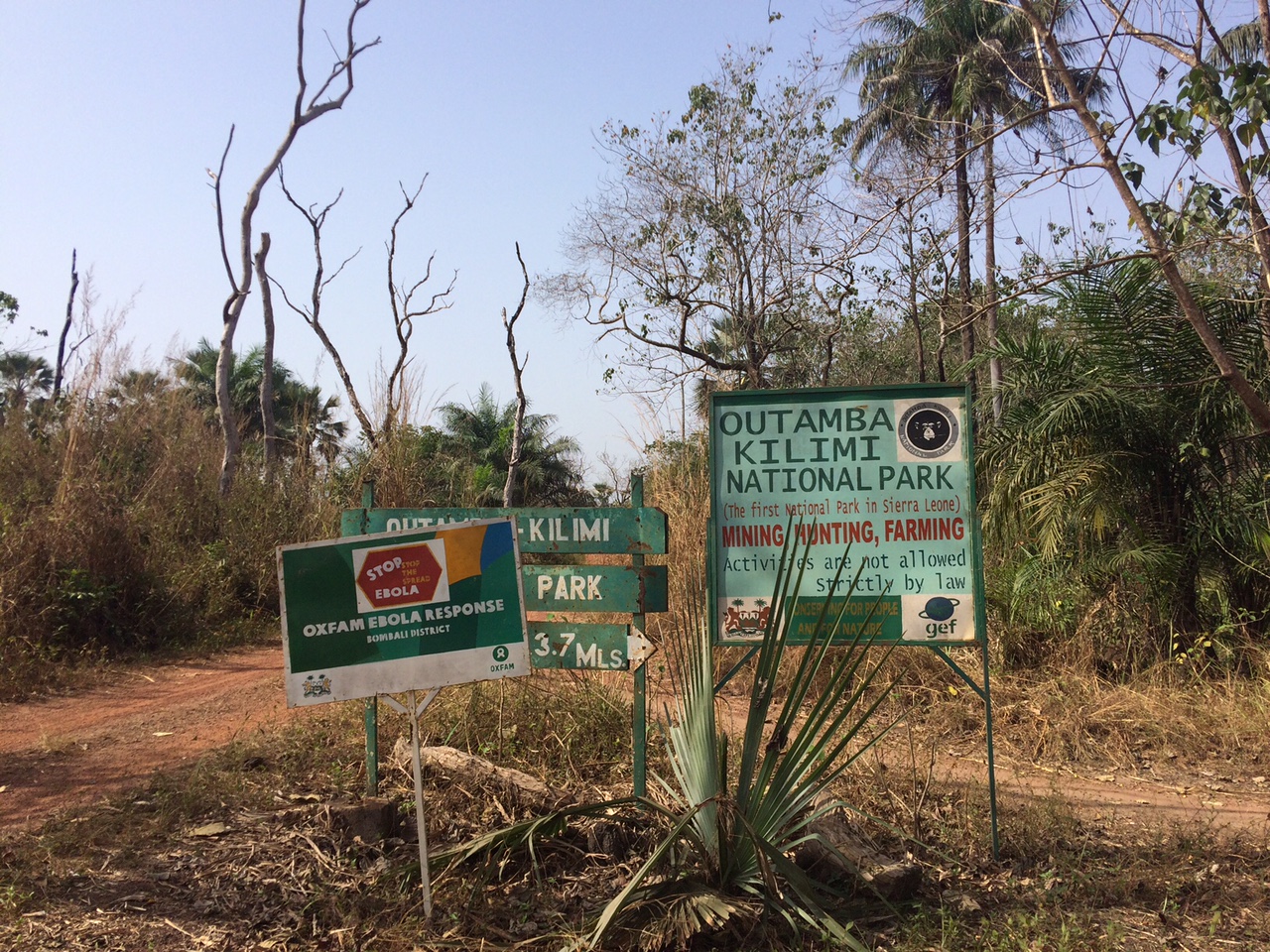 Sandra's Latest: An adventure in Outamba Kilimi National Park...