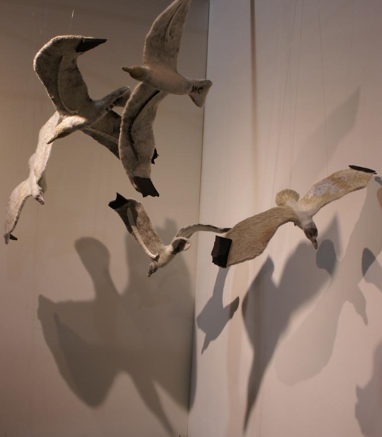 Caroline Schofield Visual Artist