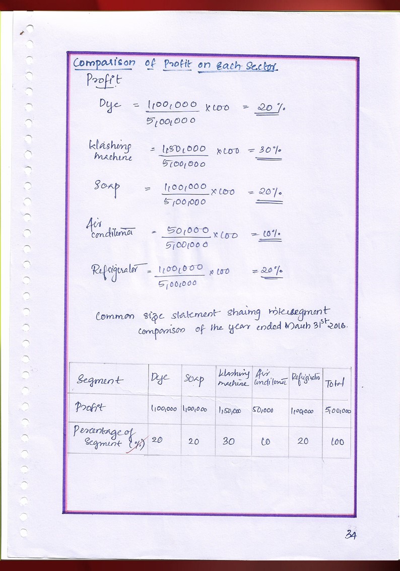 PRACTICAL ACCOUNTANCY: Specific project - 1 Segment Analysis