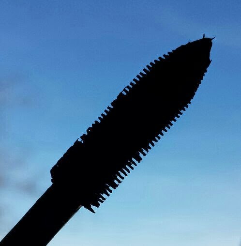 Beautifinous.: Dior - Diorshow Iconic Mascara review