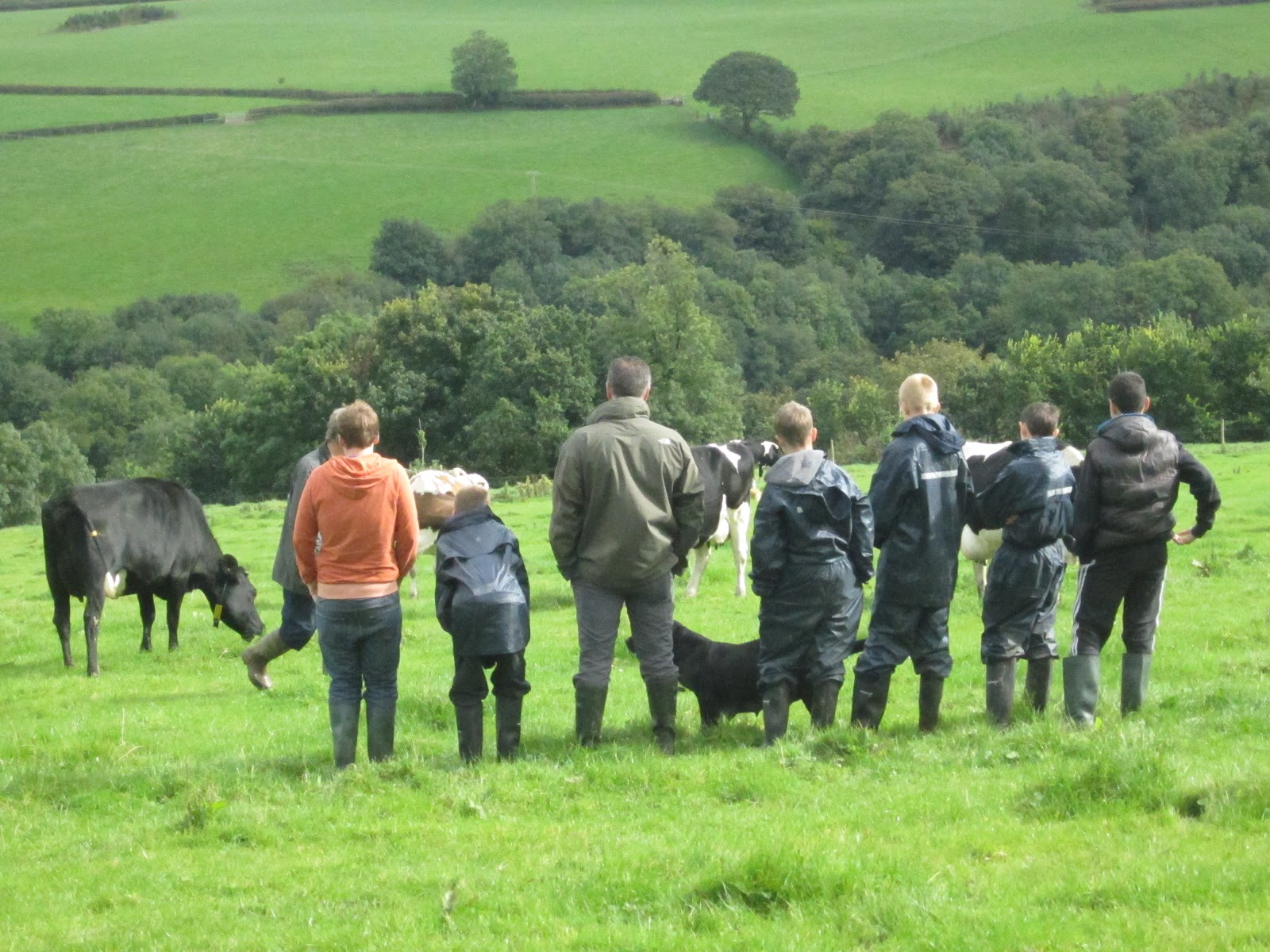 Life on a Welsh Farm: City Boys on Farm, Organic Milk Advertising Campaign,