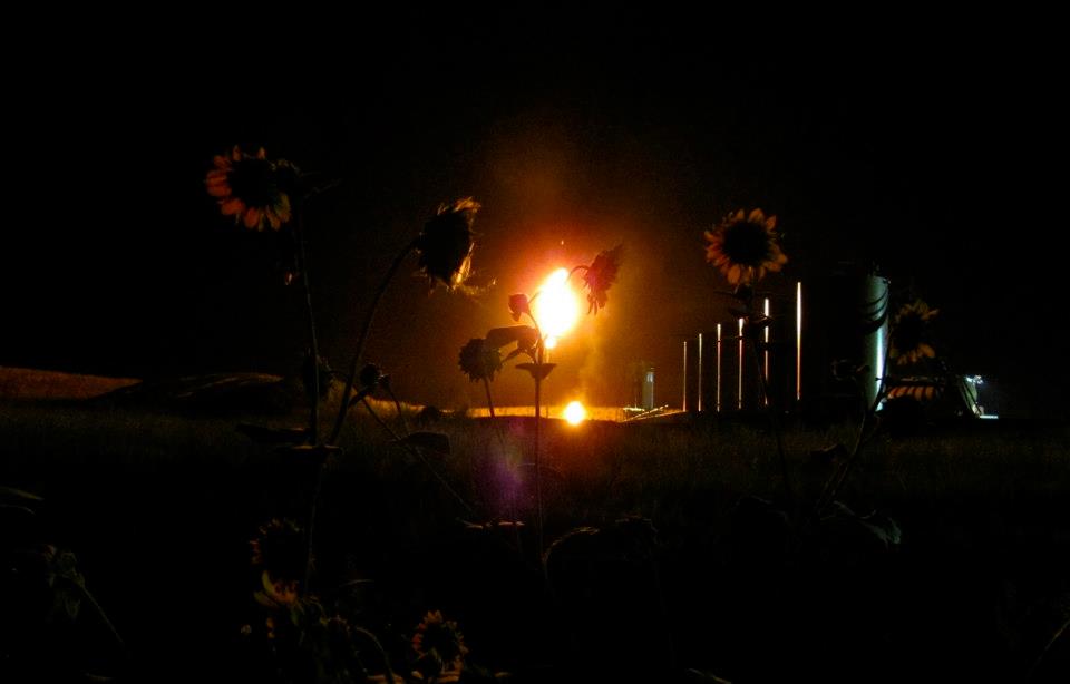 The Battle to Save Killdeer Mountain : Taĥċa Wakutėpi: Where They ...