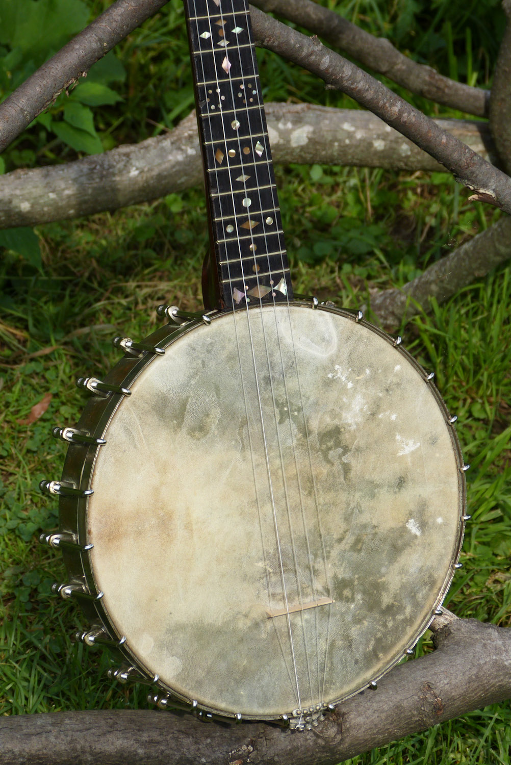 1890s Buckbee-made Dobson "Great Echo" 5-String Banjo