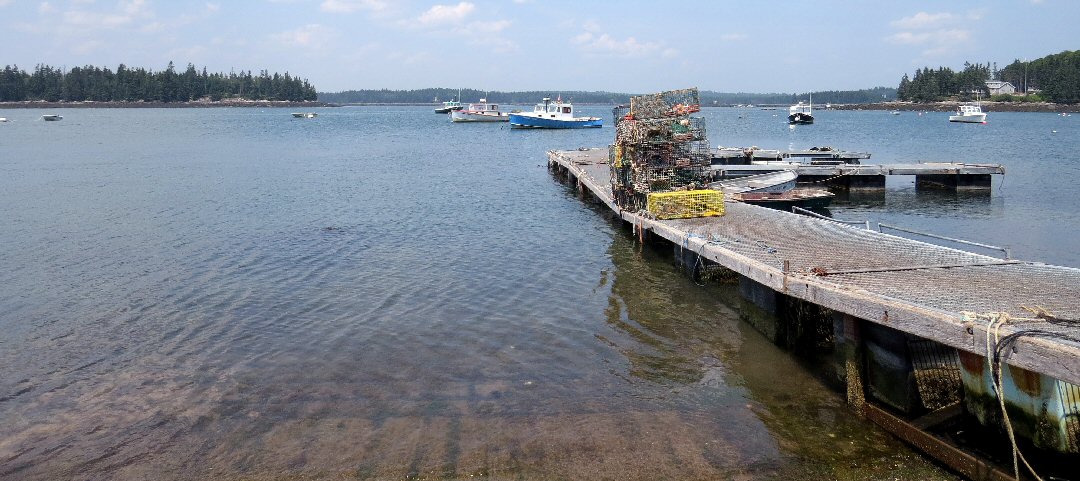 PenobscotPaddles: Moose Neck, South Addison, Maine