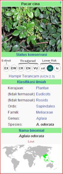 TOGA - Khasiat, Manfaat dan Penggunaan DAUN PACAR CINA - AGLAIA ...