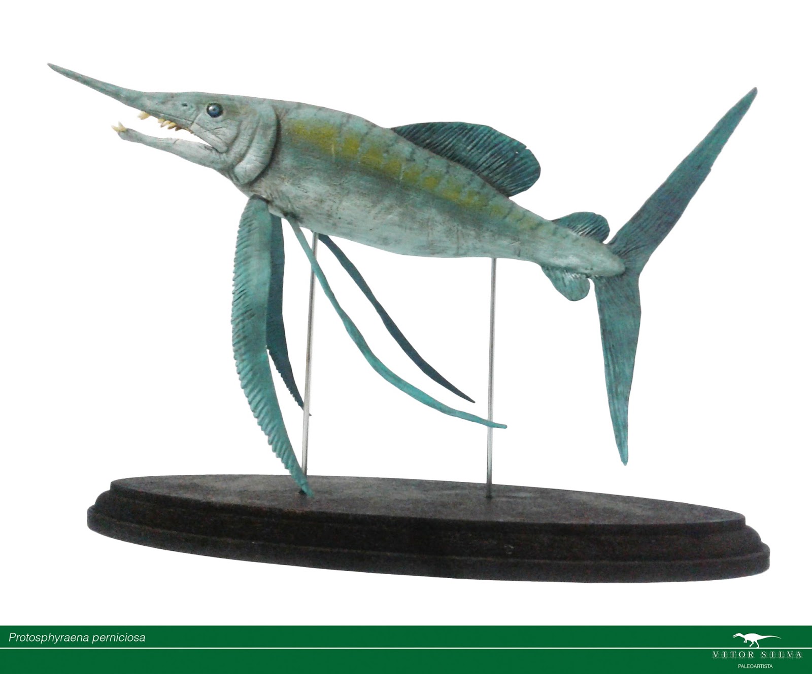 Vitor Silva - Paleoartista: Protosphyraena