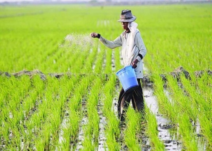 Enviromental Pollution & Control by SAS: Kesan Penyemburan Racun ...