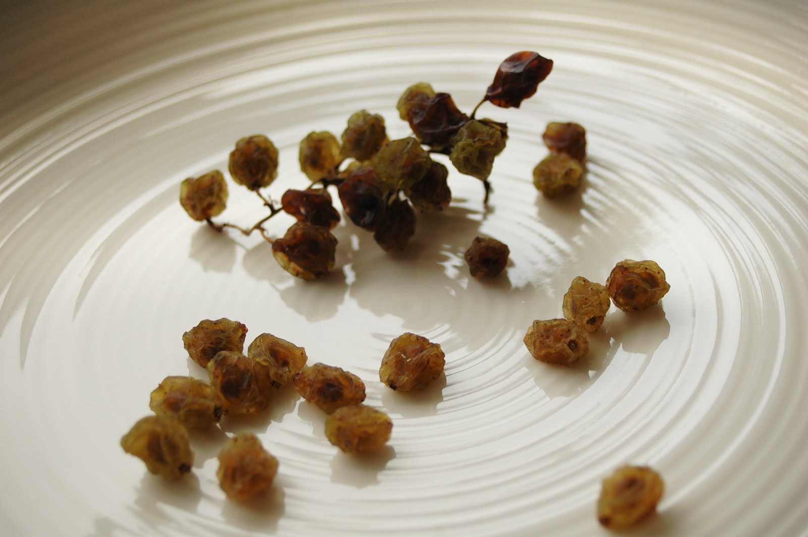 Växthusliv: Egna russin