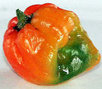 unique and interesting: Infinity Chilli Is Now Officially The World's ...