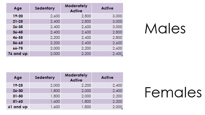 Tasty + Healthy + Easy = THE: How many calories should I intake?