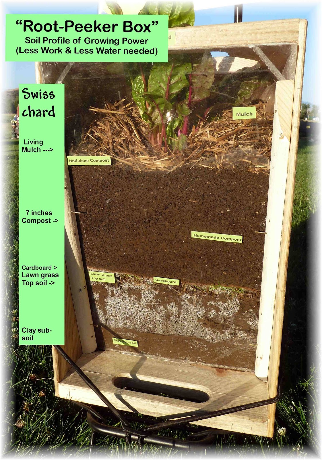 Gardening for Life - Discovering New Ways To Feed The World: Root ...