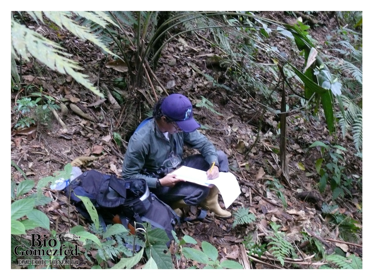 ¿qué Es La Libreta De Campo Biogomezfed