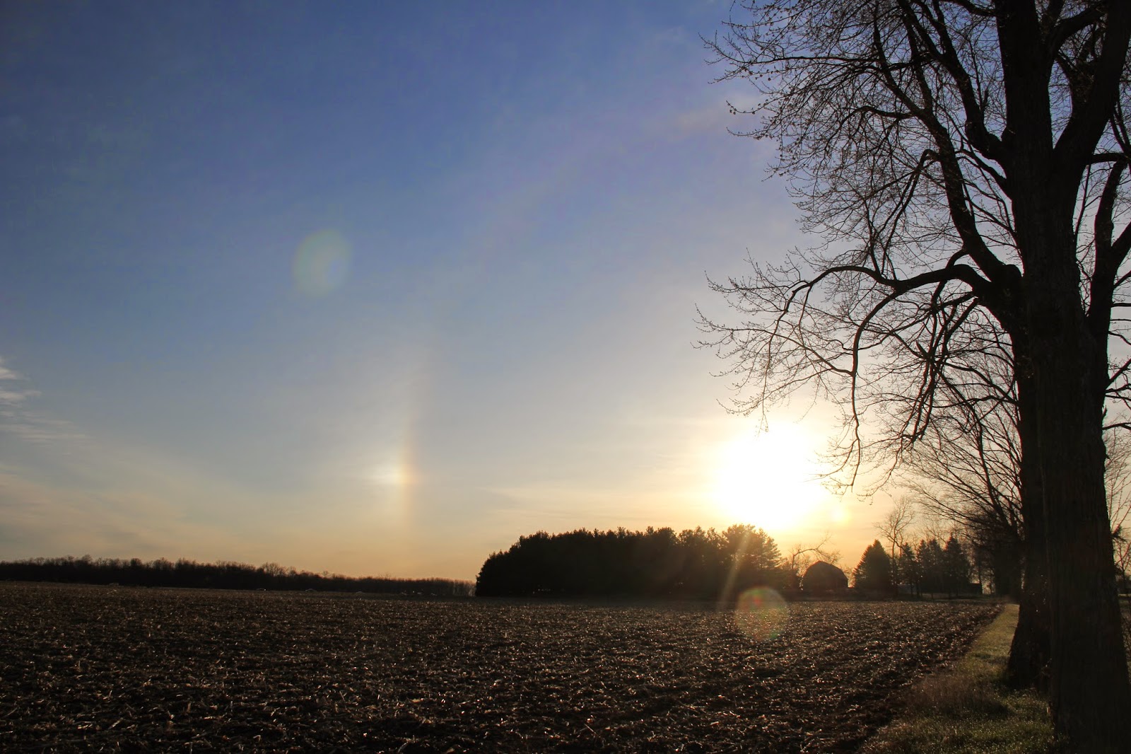 Isabella Conservation District Environmental Education Program: Sun Dogs