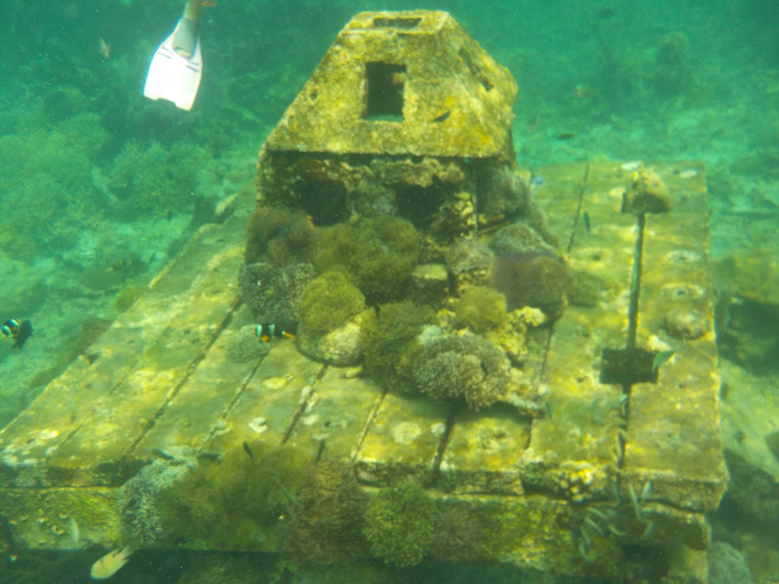 Wisata Pulau Pahawang Pesawaran Lampung Wisata Pulau Pahawang Pesawaran Lampung