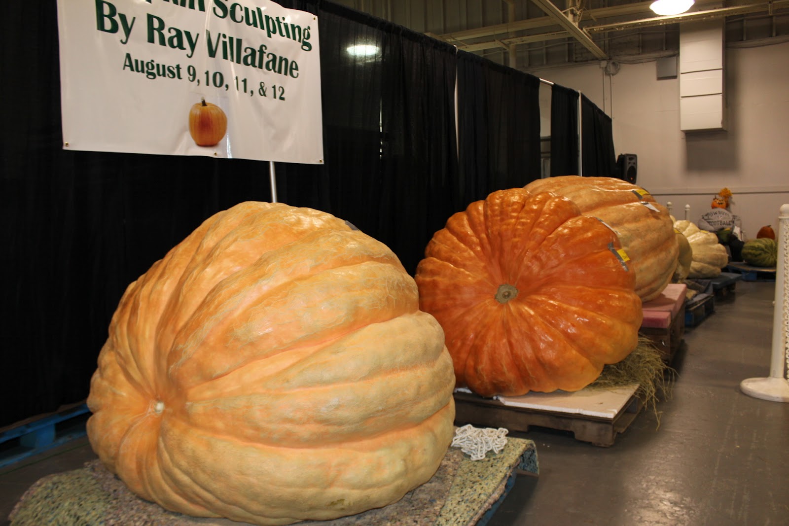 Blue Ribbon Blog: Pumpkins Galore at the Indiana State Fair