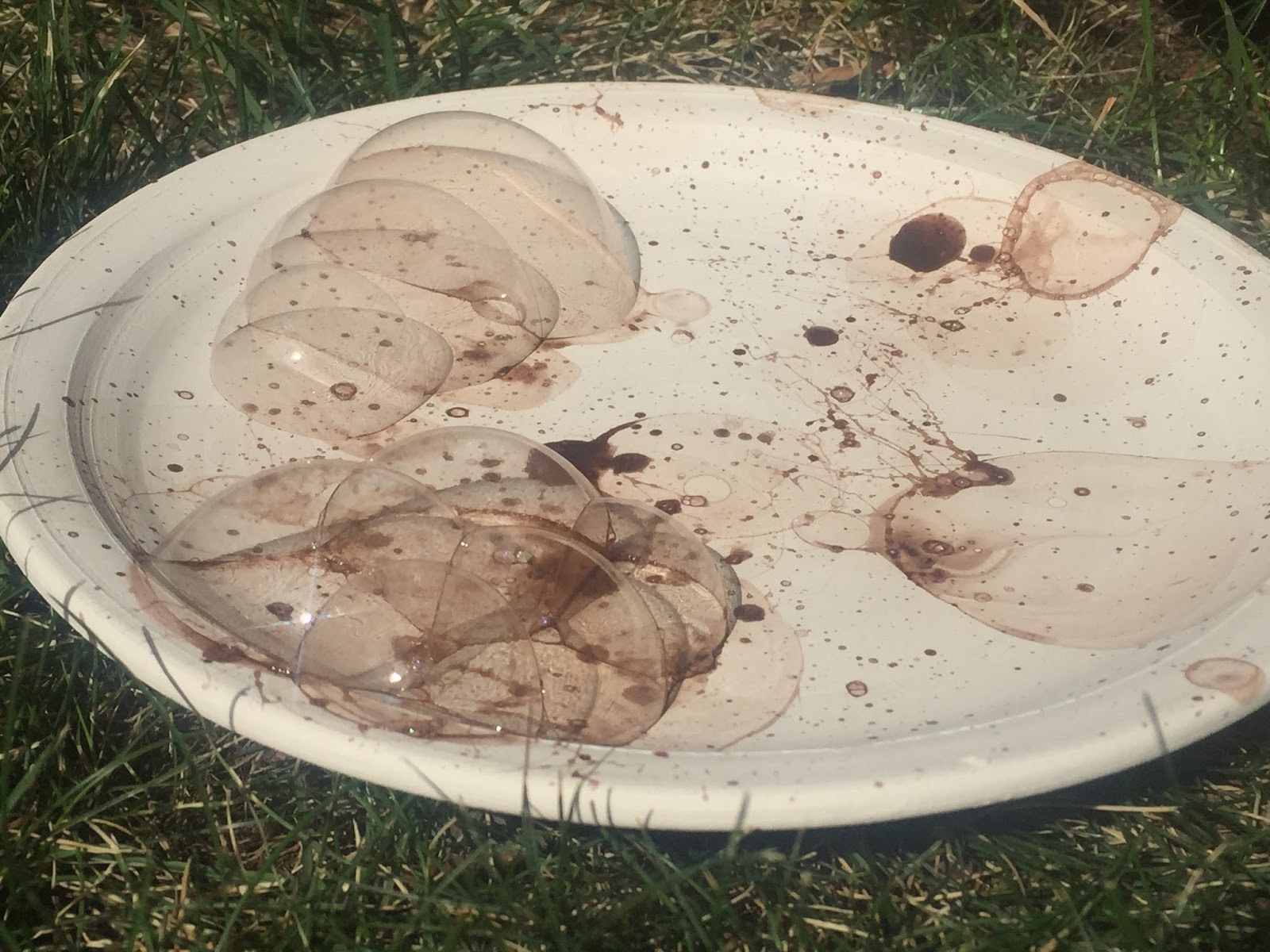 Rachel Dorn Ceramic Sculpture: Bubble Plates