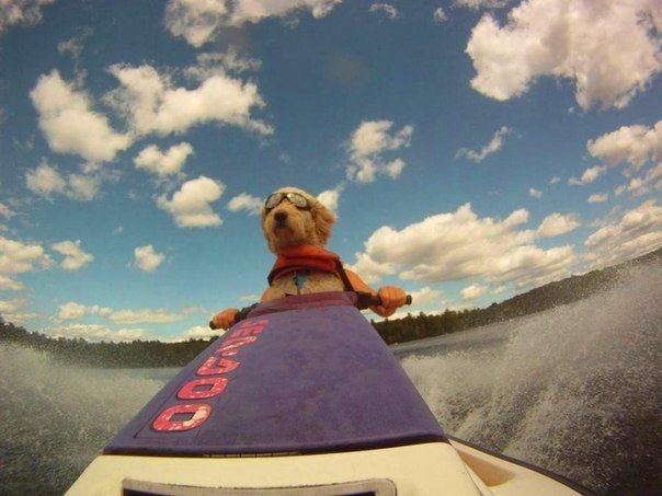 Beautiful World : Fresh Collection of Funny and Gorgeous Pics