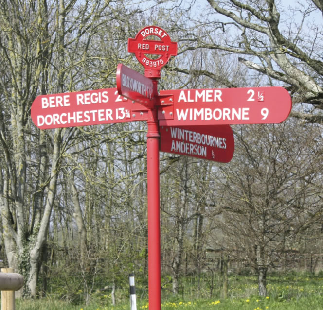 The Official Blog of P J Cadavori