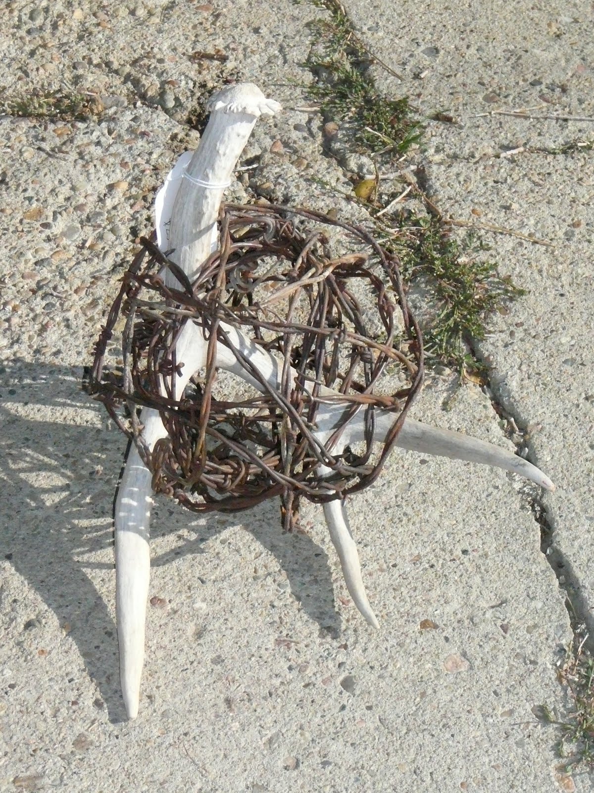 Art of Chris Bezold-Plains Indian Reproductions: Barbed Wire Art