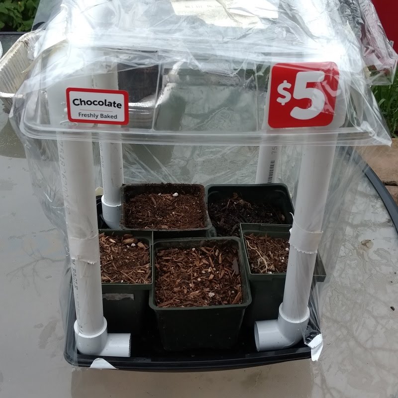 Mini Seed Starting Greenhouse | Greens and Machines