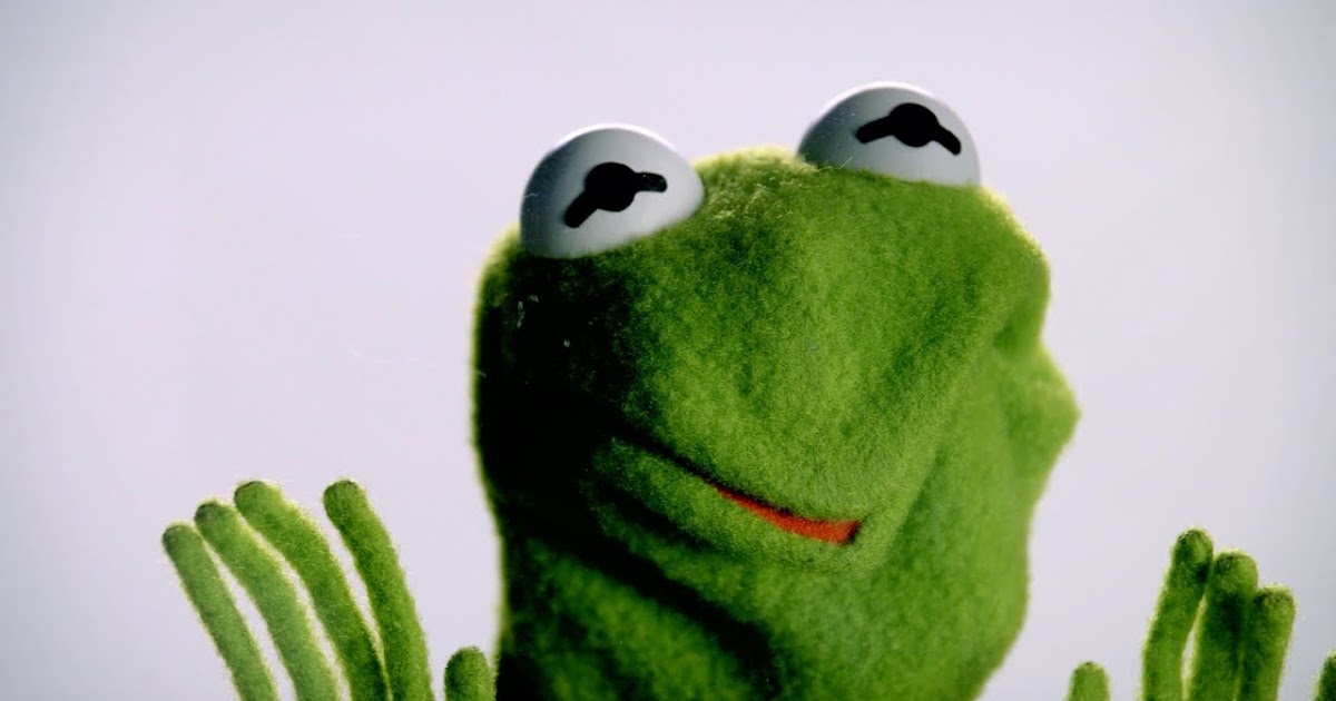 Muppet Stuff: Muppet Thought of the Week - Kermit the Frog Up Close!