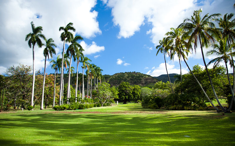 neu events' Blog for The Knot's Hawaii site: Dillingham Ranch ...