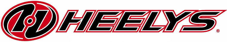 HEELYS SKATE SHOES REVIEW - Mama to 6 Blessings