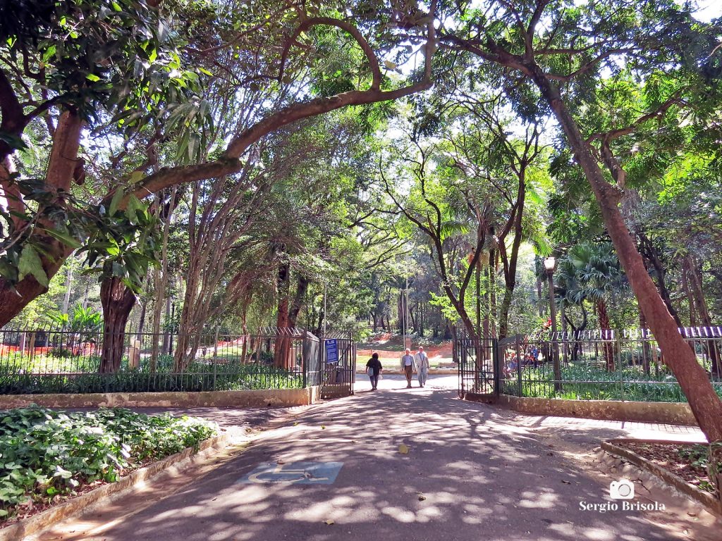 Parque Buenos Aires - Descubra Sampa - Cidade de São Paulo