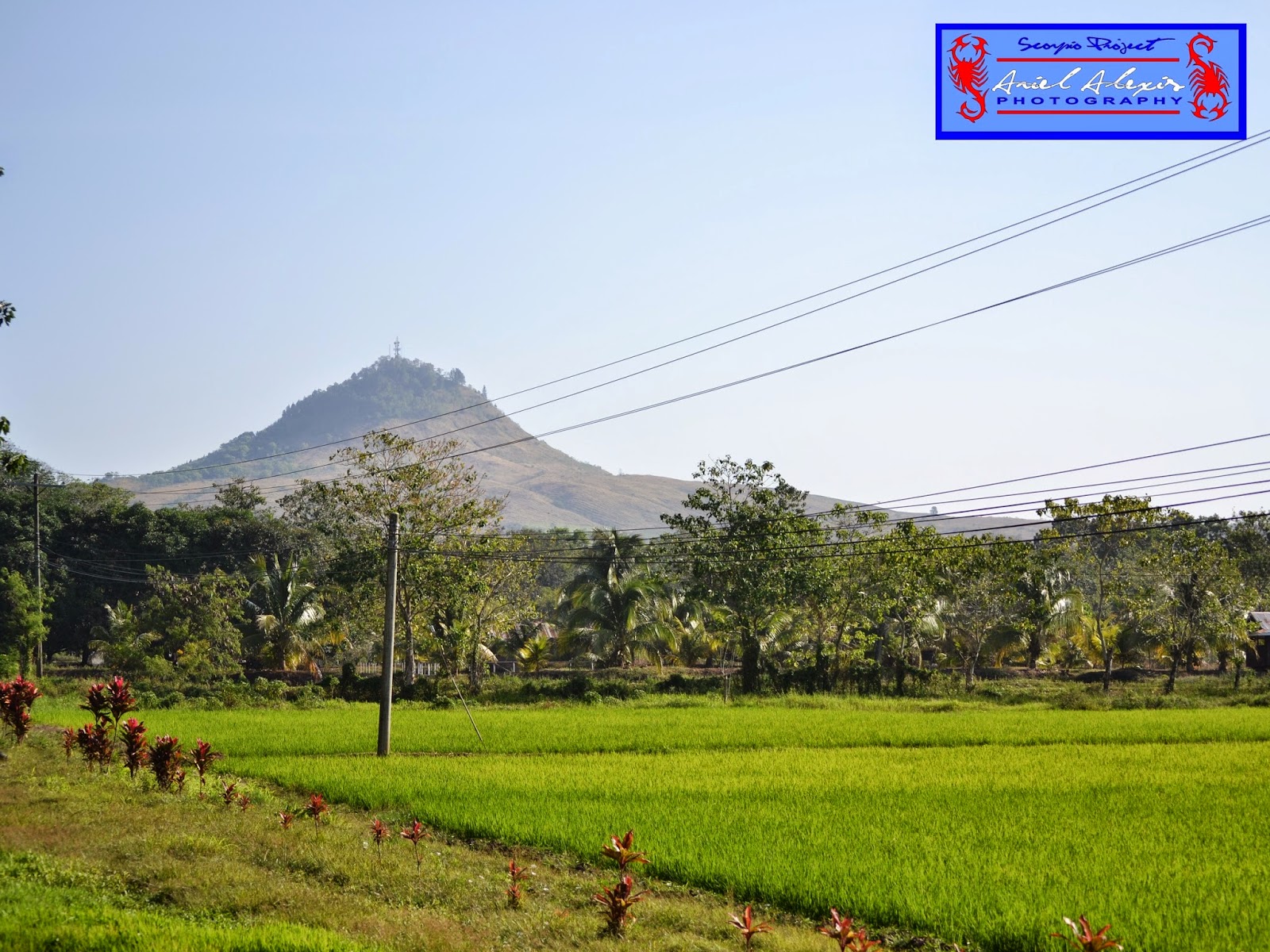 Scorpio's Sojourns: Musing at Bukidnon’s Mt. Musuan