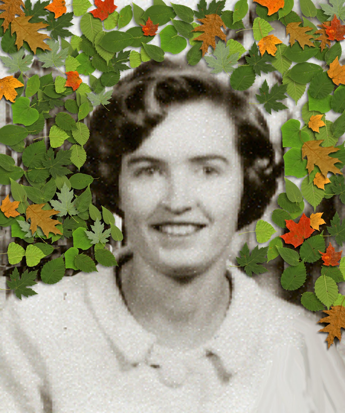 Ronda Hill's Instagram, Twitter & Facebook on IDCrawl