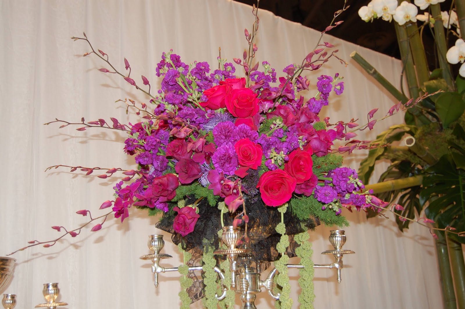 Greatest Show on Earth. | Mark Cullen