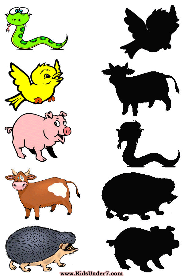 Kids Under 7: Shadow worksheets