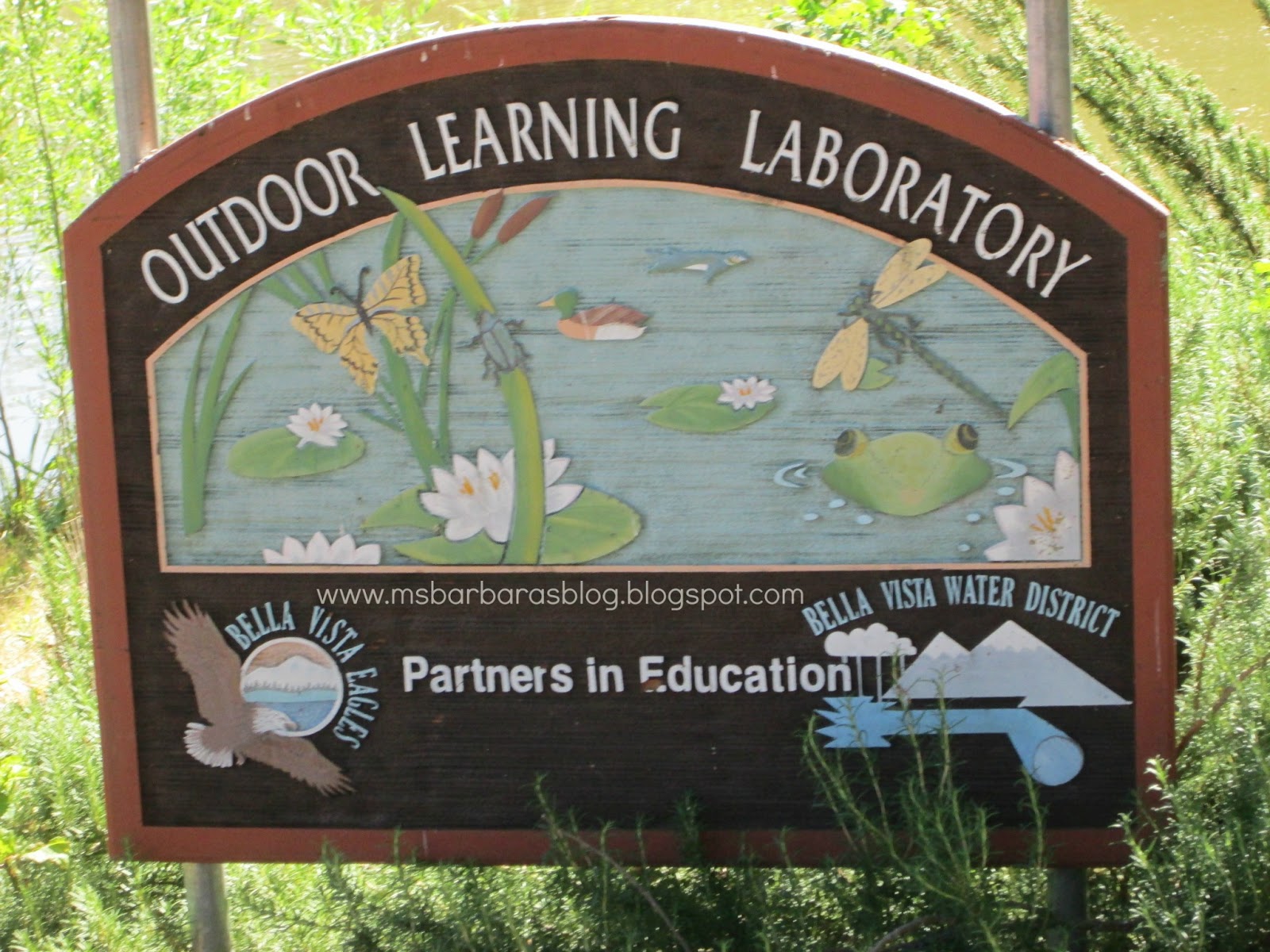 For the Children: Nature Study: A Week at the Pond