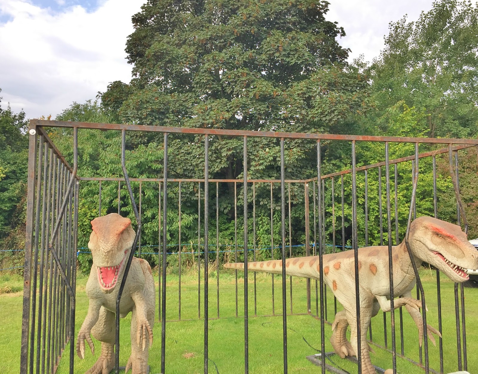 Jurassic Kingdom Newcastle Review | Newcastle Family Life